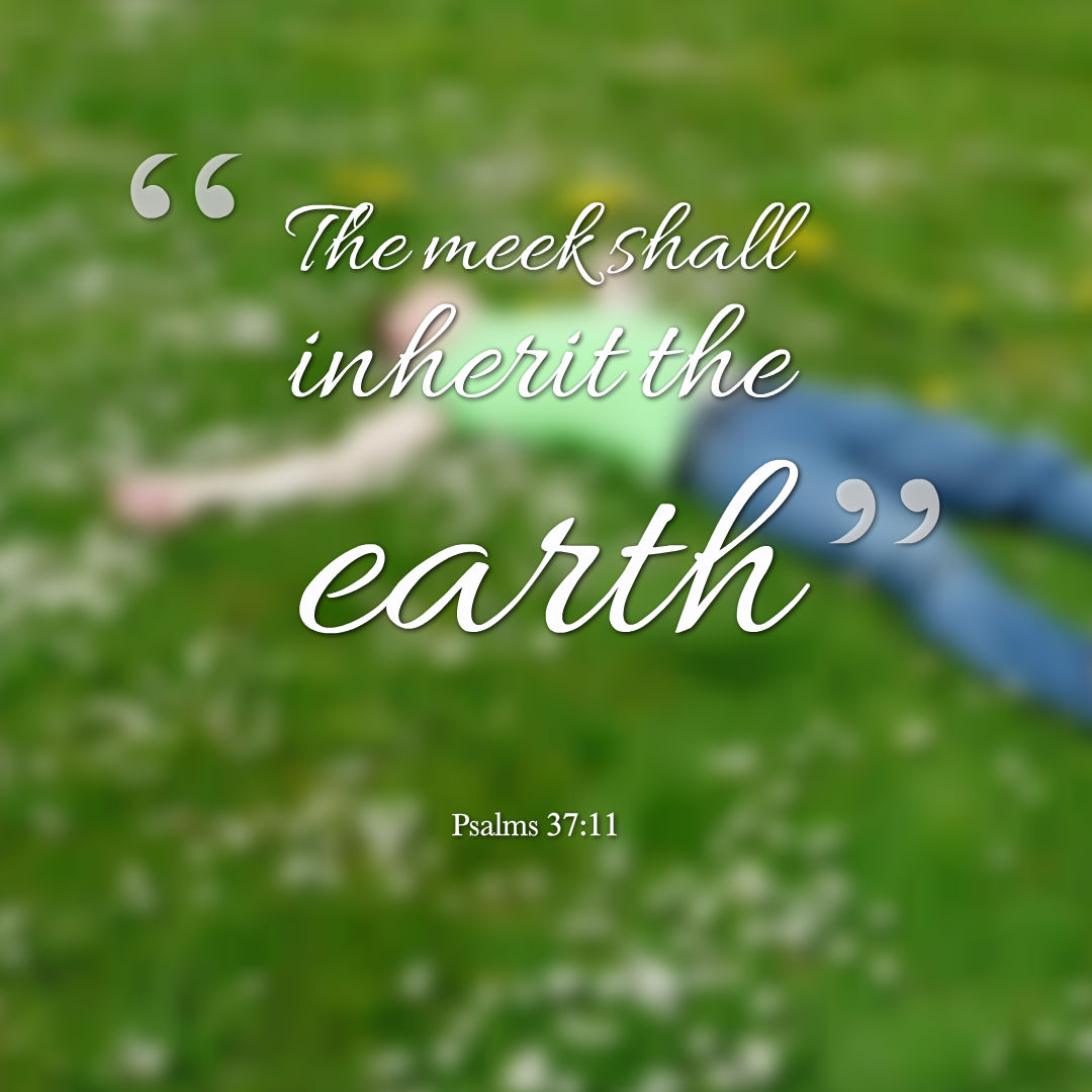 The Meek And Humble Will Trust In The Lord – Becoming the Oil and the Wine