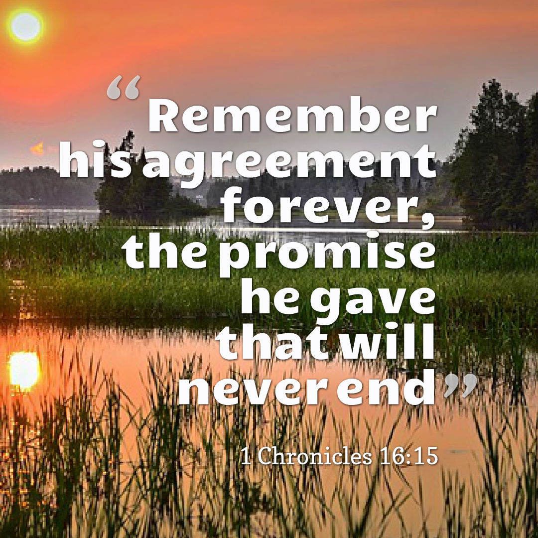 Promises That Cannot Be Broken – Becoming the Oil and the Wine